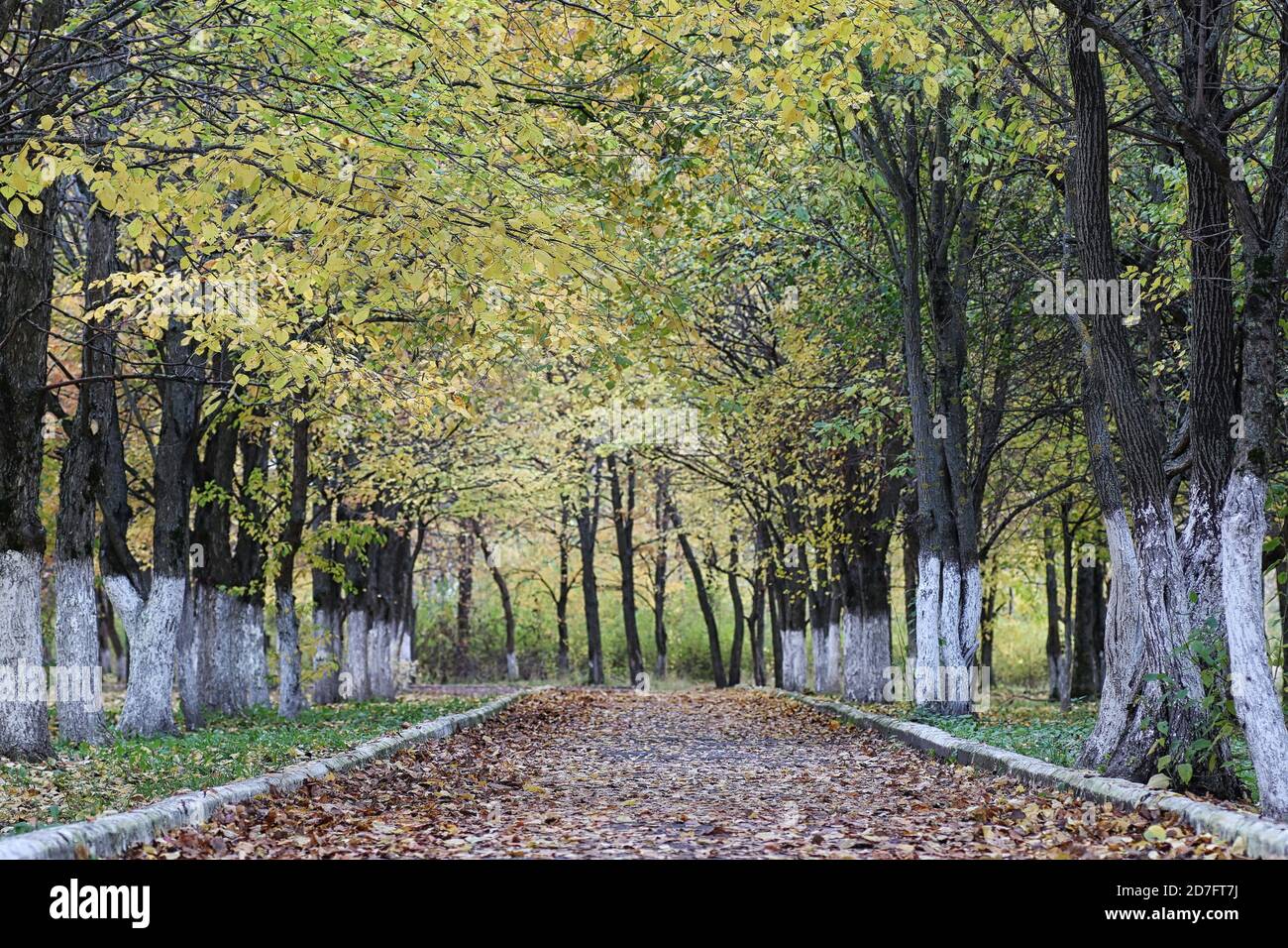 Children on the street play on the playground Stock Photo - Alamy