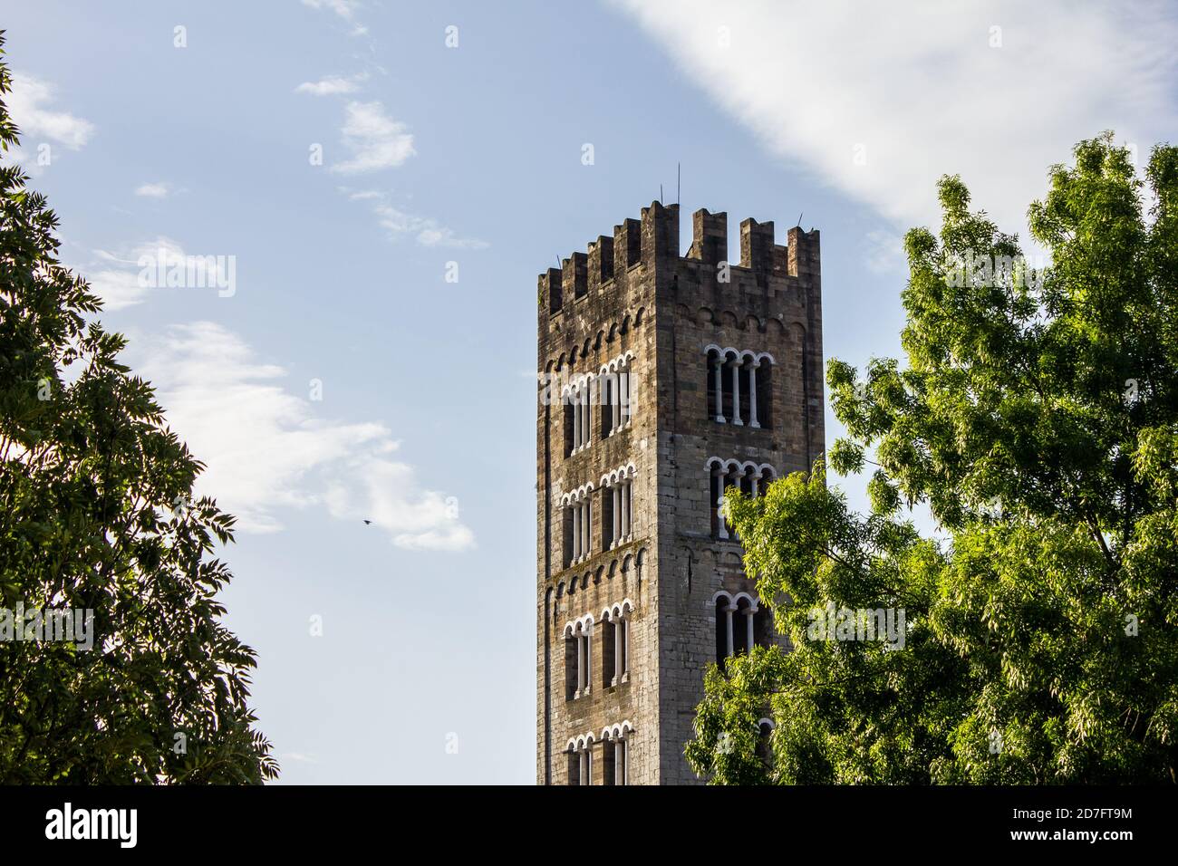 Lucca tower trees hi-res stock photography and images - Alamy