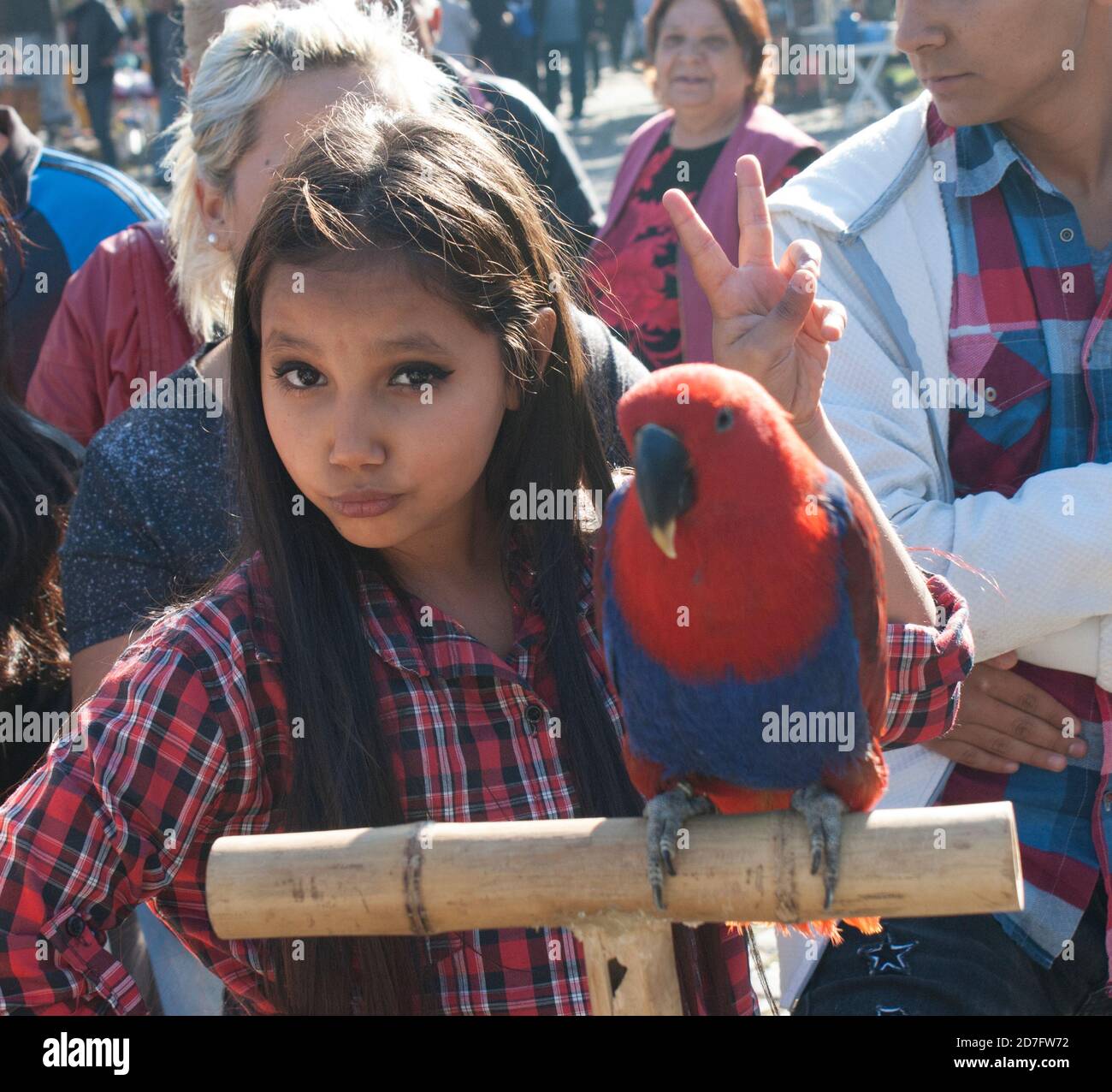 Feast of the town of Radomir. Bulgaria. Day of St. Demetrius ...