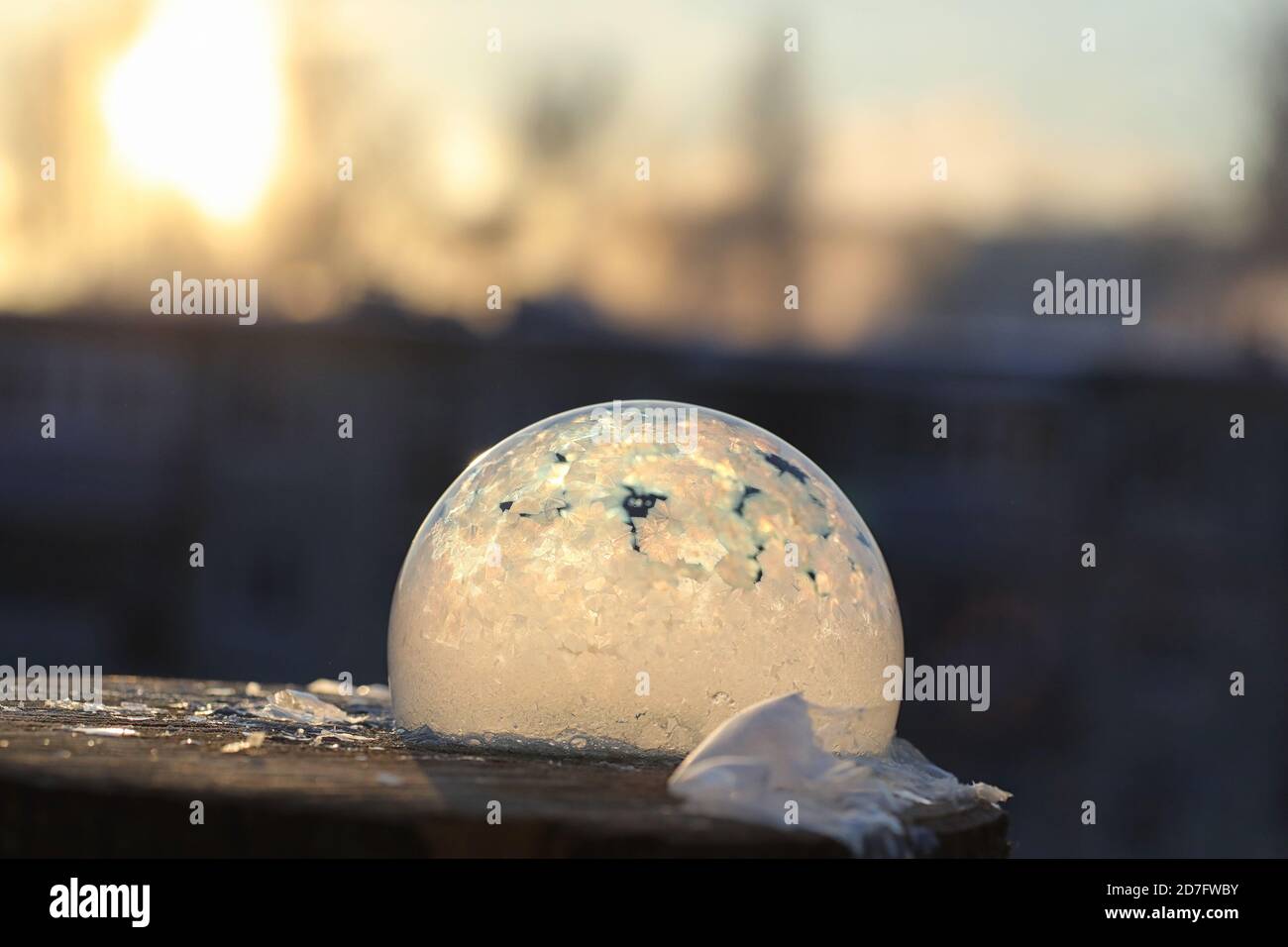 Soap bubbles freeze in the cold. Winter soapy water freezes in air ...
