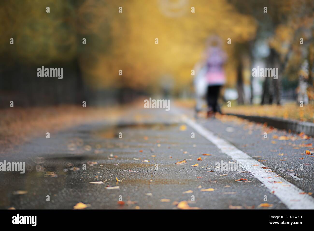 Autumn backgroun rain in the park during the day Stock Photo - Alamy