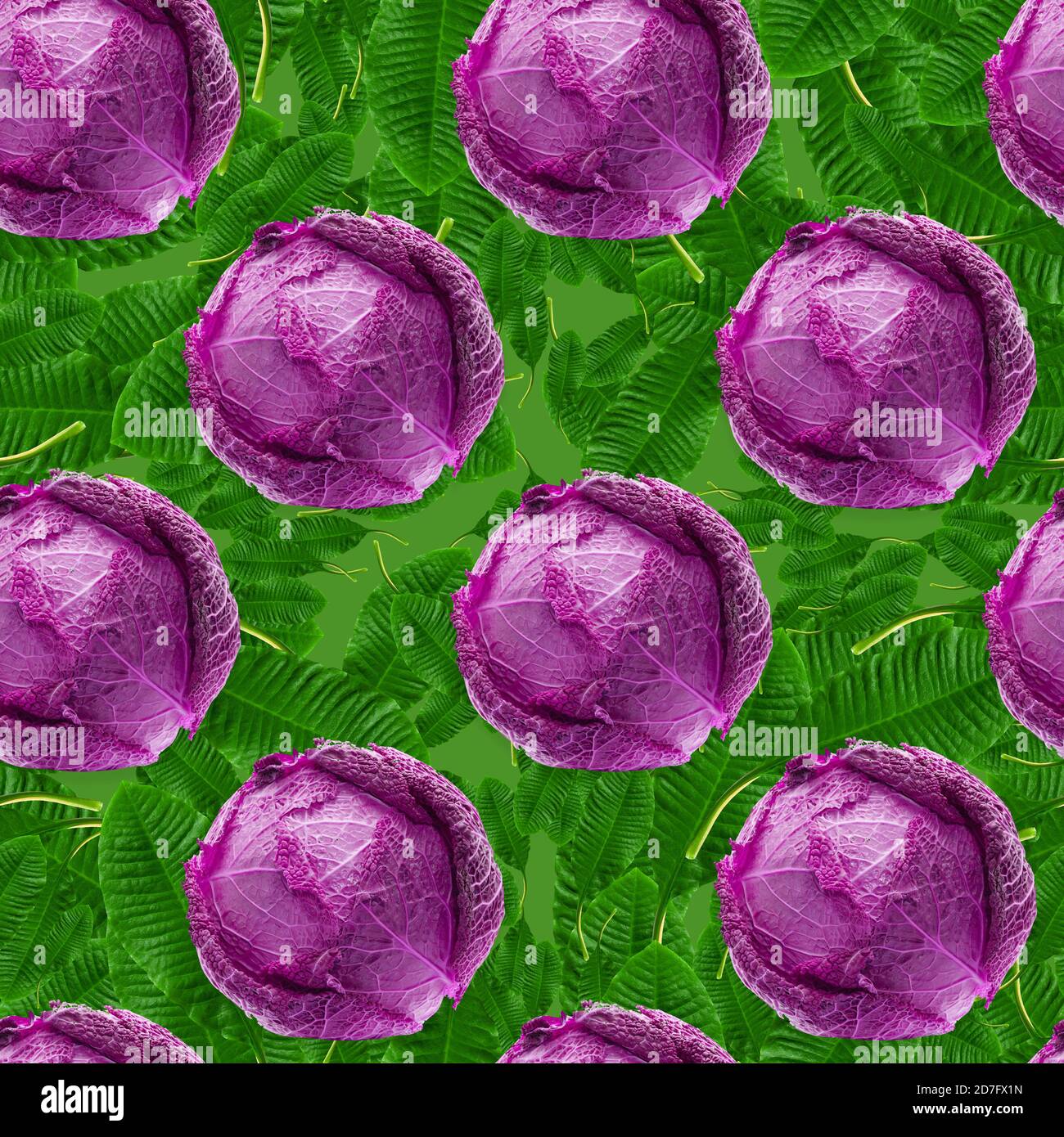seamless pattern of purple cabbage isolated on white background Stock ...