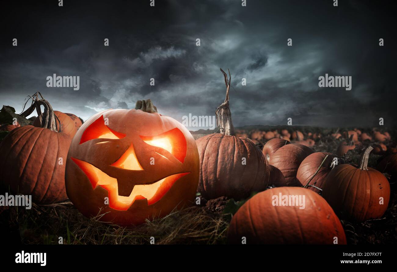 A carved glowing halloween pumpkin in a field at night. Photo composite ...