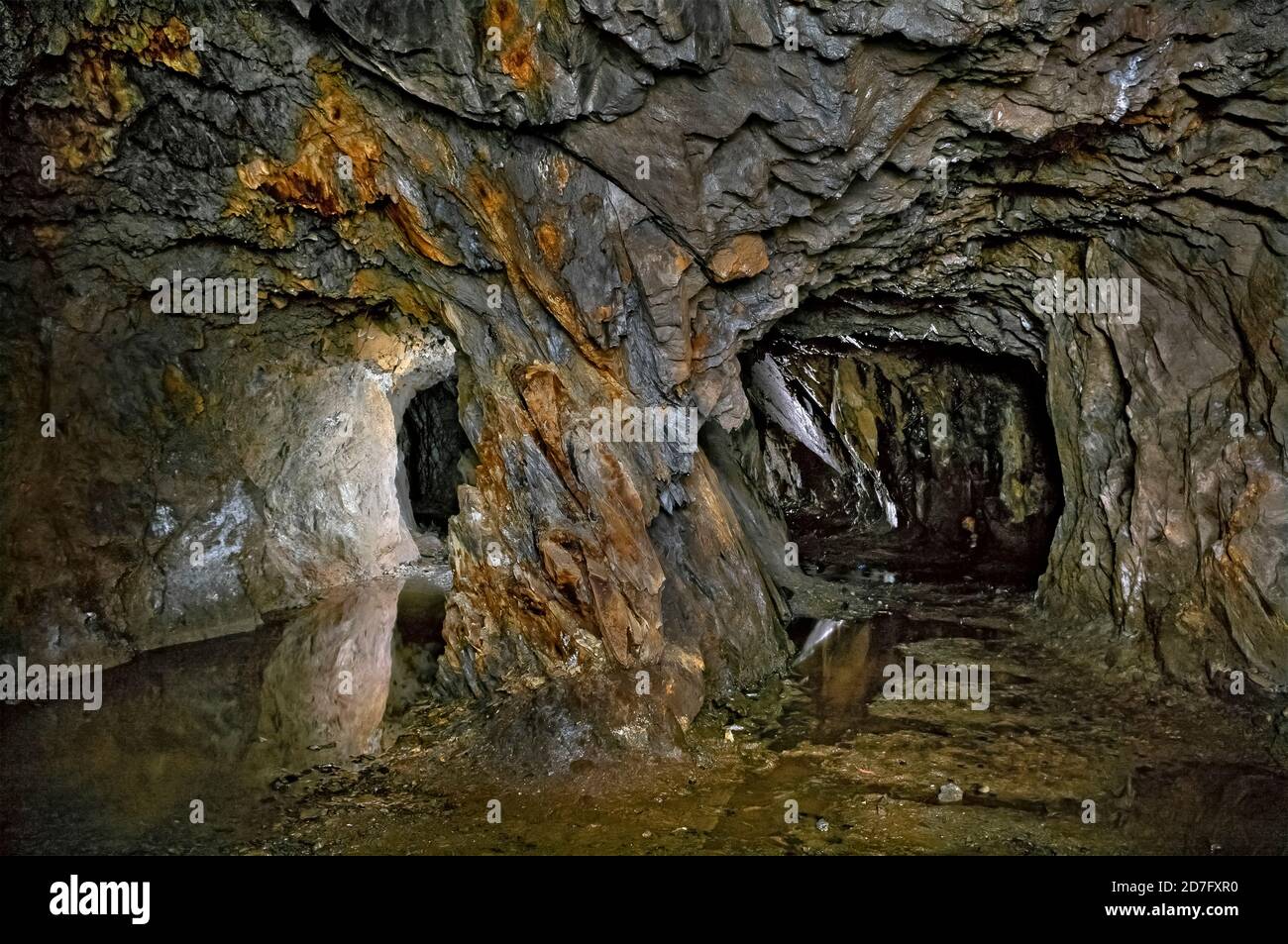 Tunnel blasted by gunpowder through steeply-inclined beds of limestone ...