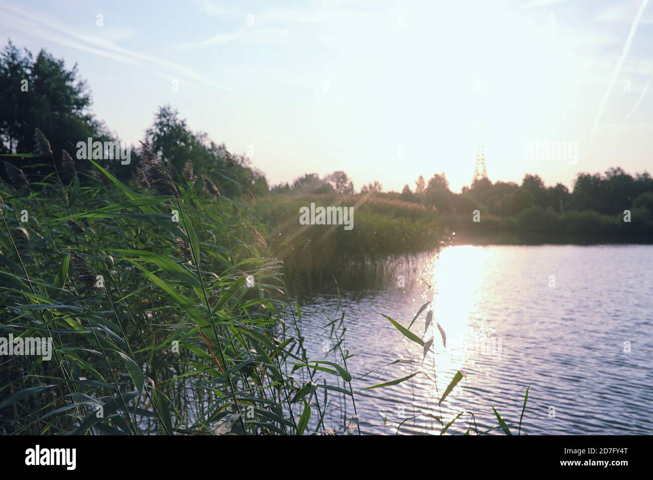 Landscape lake. Texture of water. The lake is at dawn. The mouth of the ...