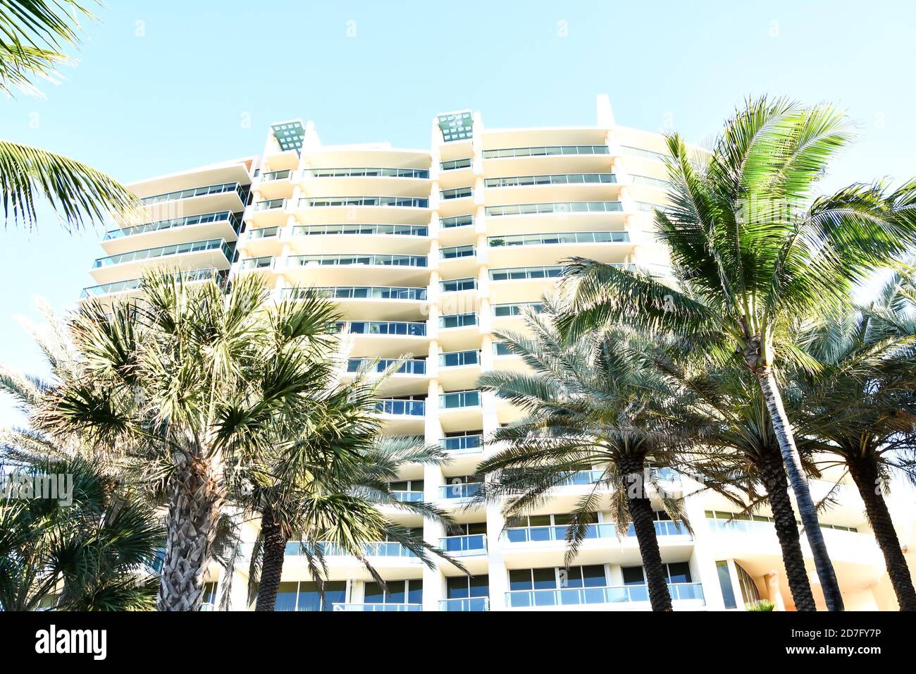 palm trees on beach, photo as a background modern building in miami ...
