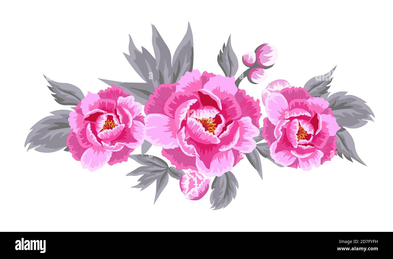 Abstraction with pink peonies. Vector illustration Stock Vector Image ...