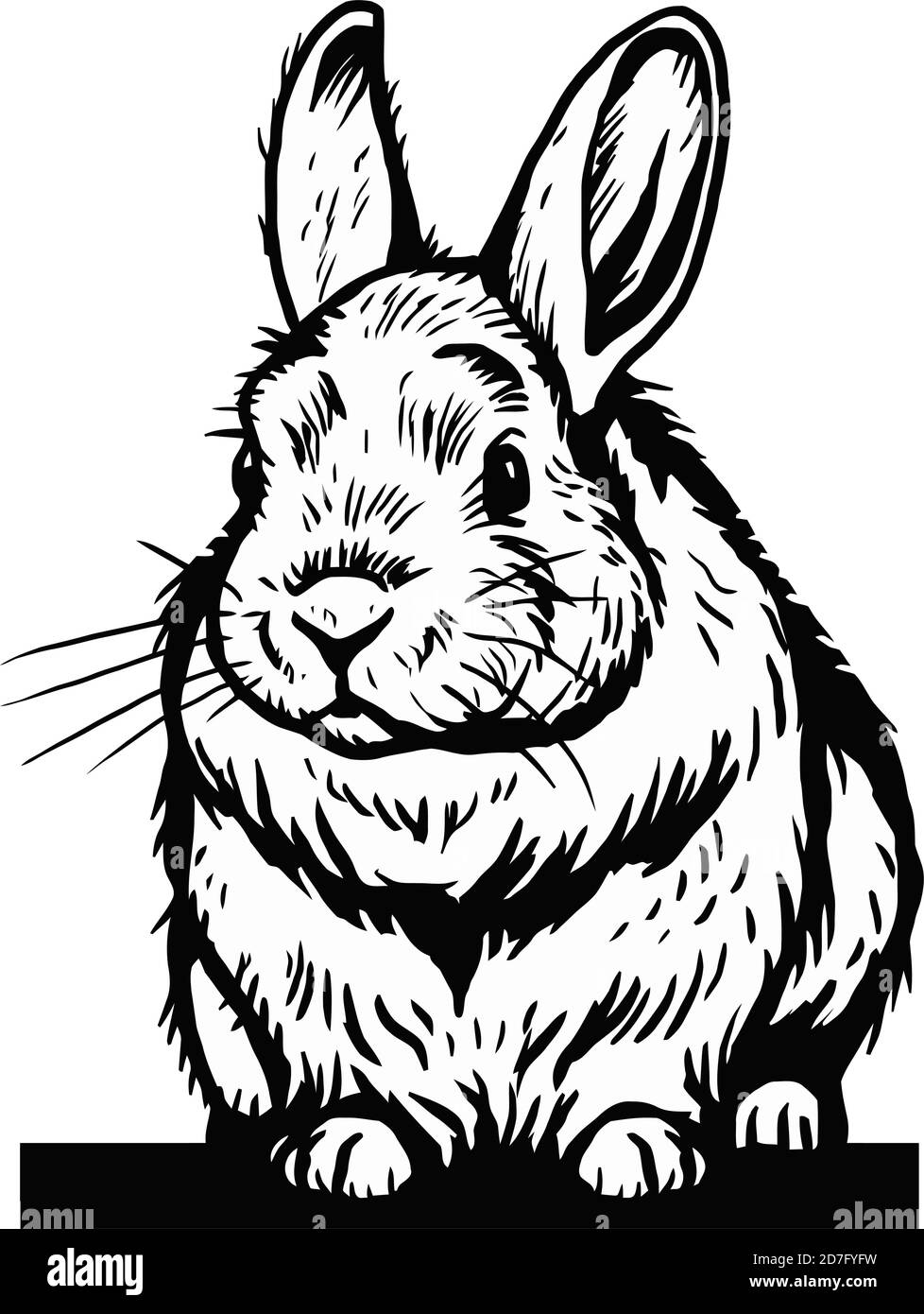 how to draw a realistic rabbit head