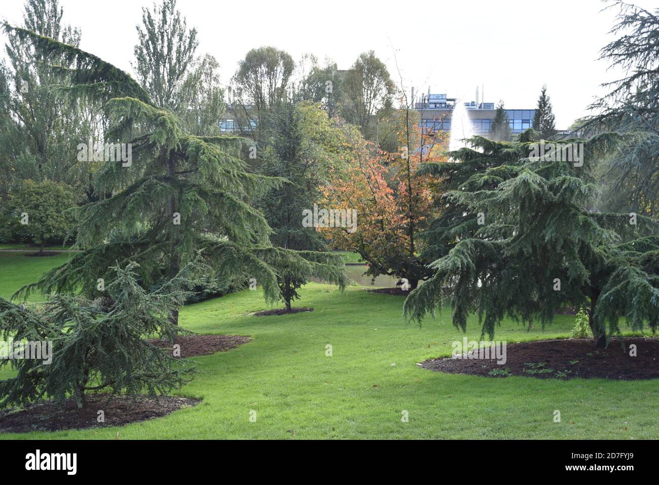 University of Surrey Campus Stock Photo - Alamy