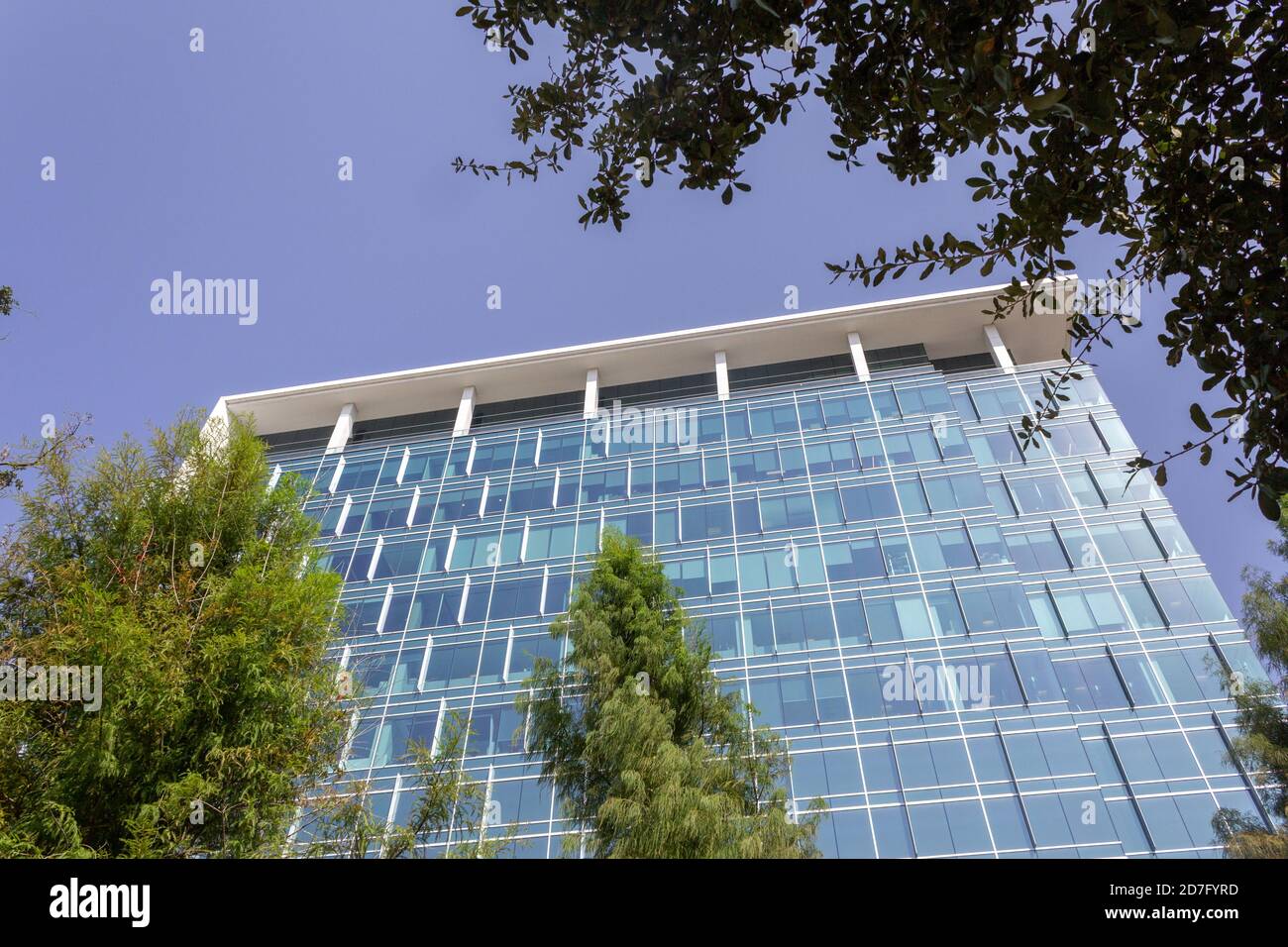 Skyscraper tall building hi-res stock photography and images - Alamy
