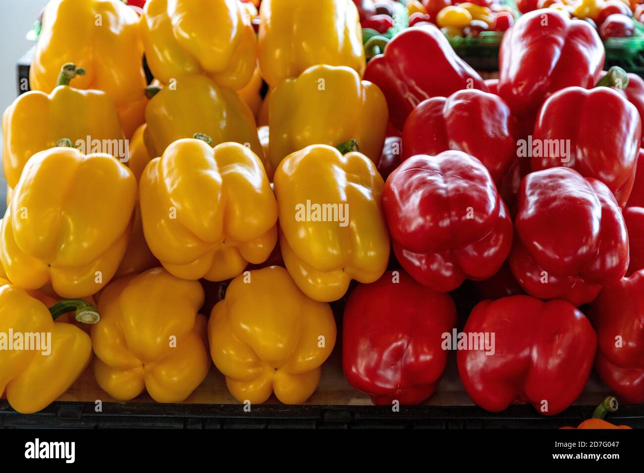 Capsium annuum hi-res stock photography and images - Alamy