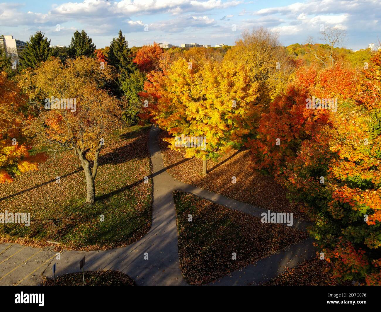 Mckillop hi-res stock photography and images - Alamy