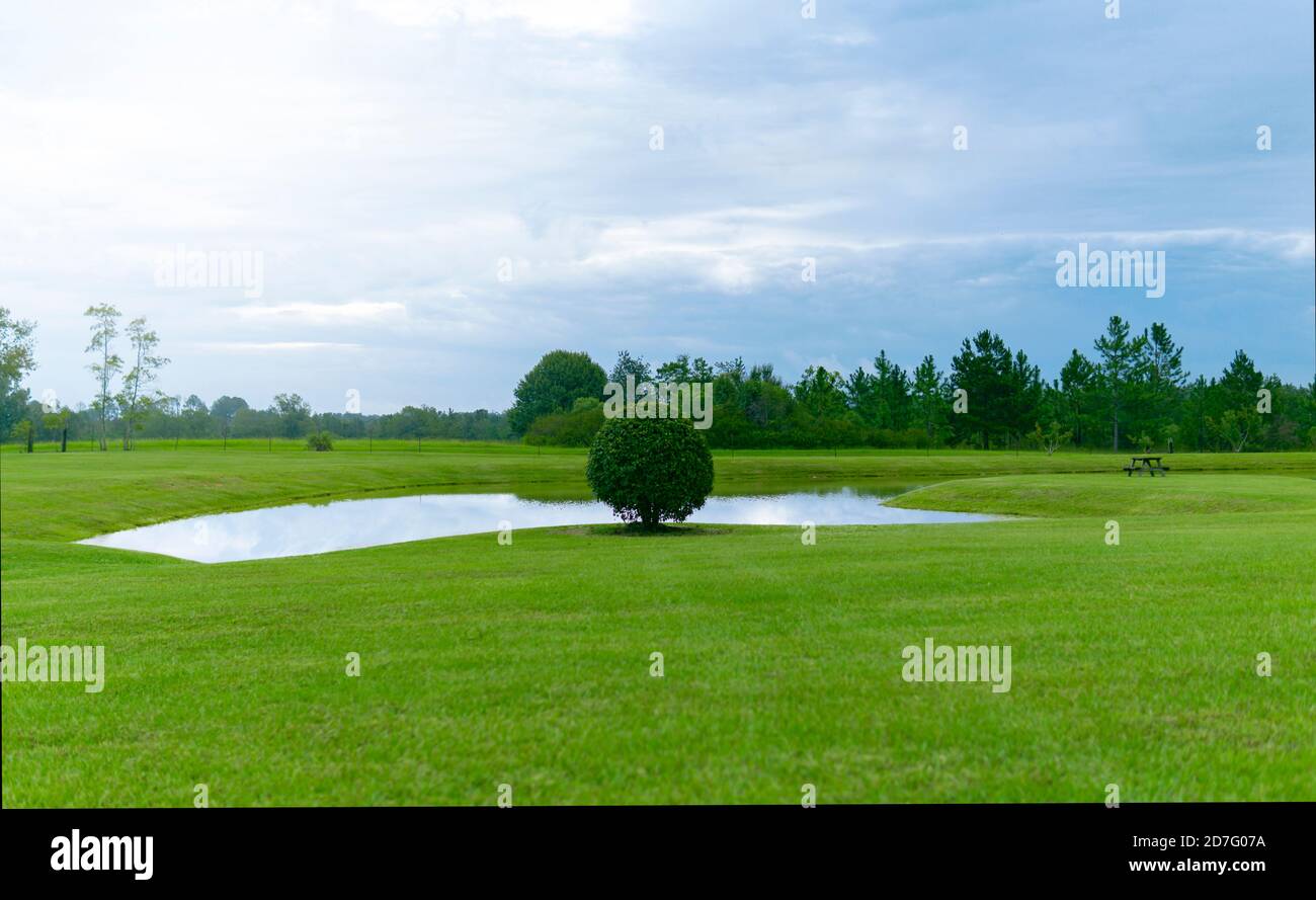 Side grass hi-res stock photography and images - Alamy