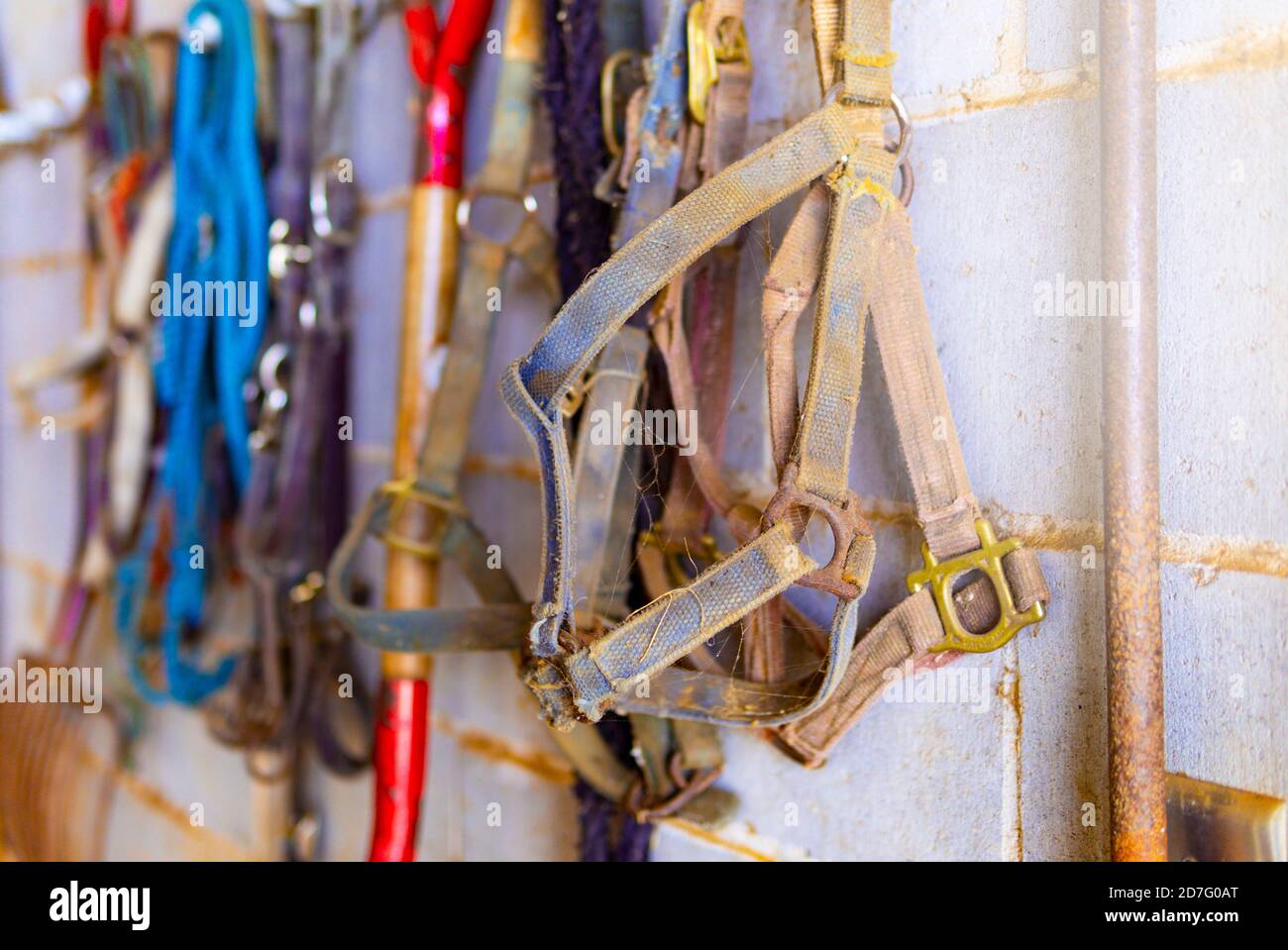 Rope hanging in barn hi-res stock photography and images - Alamy