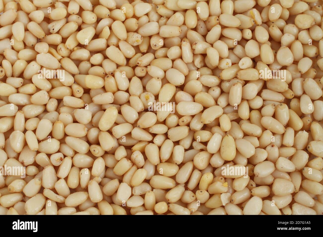 Shelled cedar pine nuts hi-res stock photography and images - Alamy