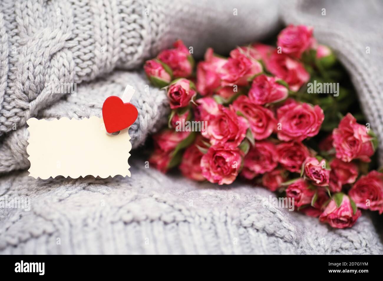 Bouquet of red roses on a textile sweater Stock Photo - Alamy