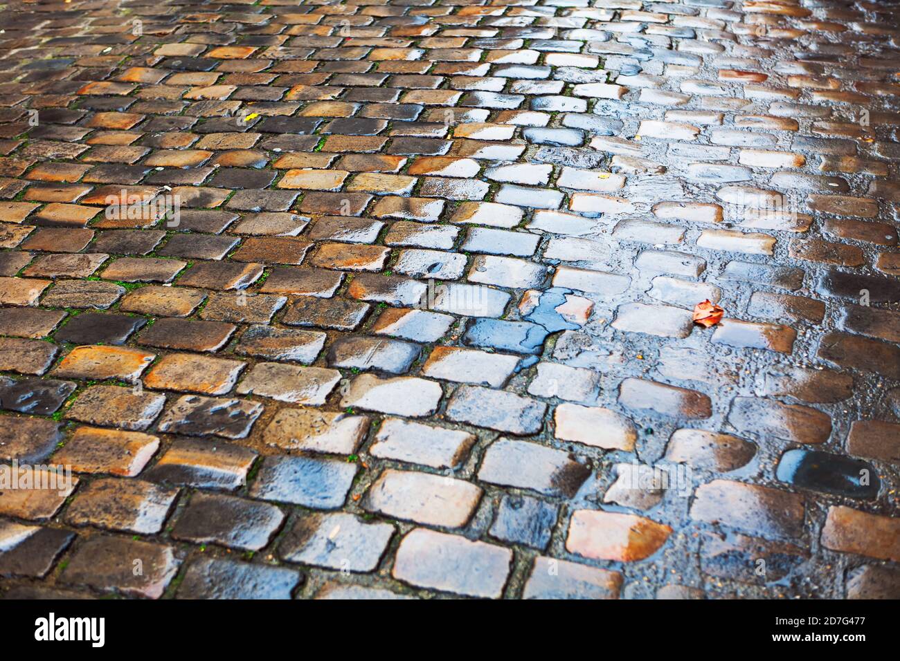 Wet cobblestone background . Pavement after the autumn rain Stock Photo ...