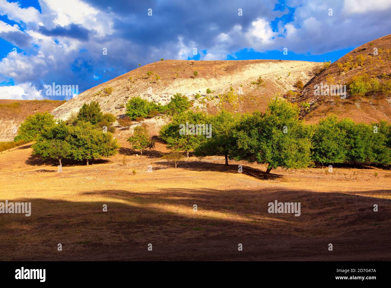 Autumn with green trees . Landscape with rolling hills Stock Photo - Alamy