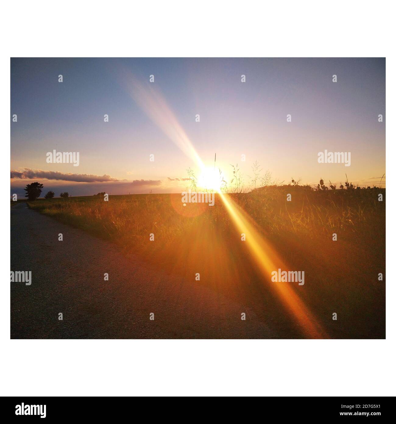Sunrise in the roadside field under the sky Stock Photo - Alamy