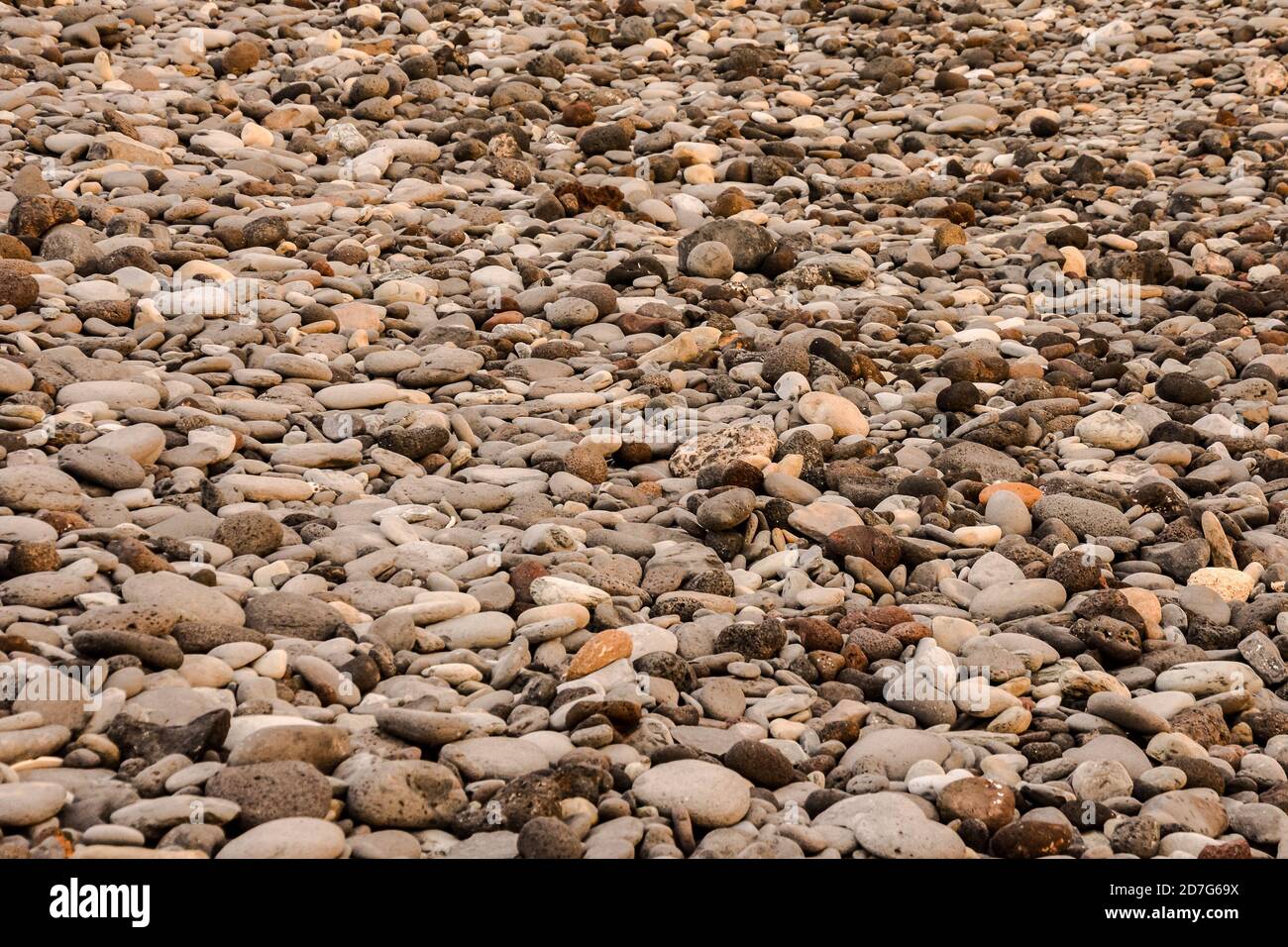 Dry round reeble stones Stock Photo - Alamy