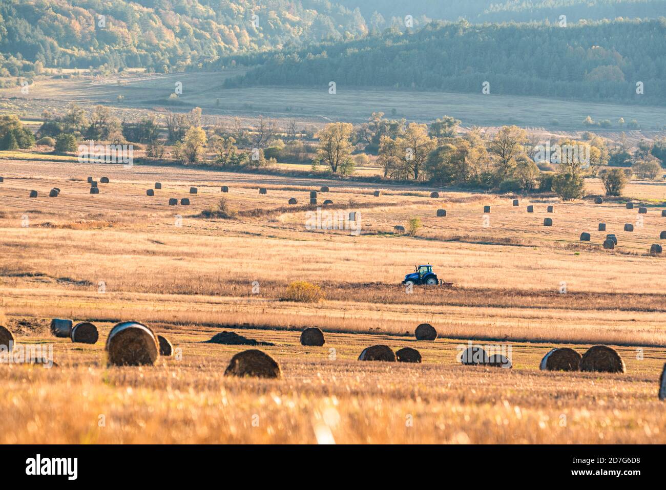Tractor collecting straw bales sun bulgaria farming agriculture minimal machine golden hay small ...