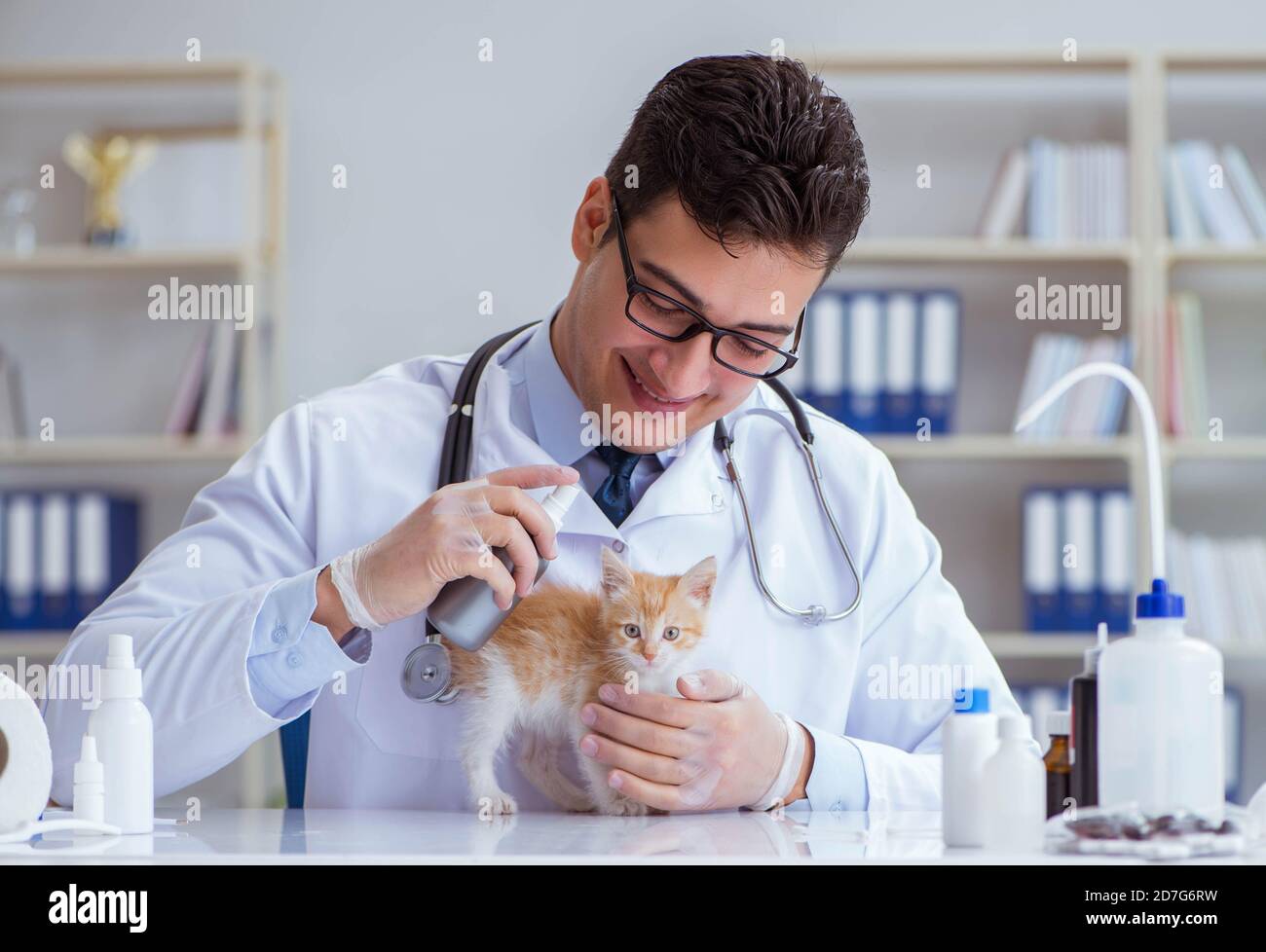 Cat visiting vet for regular check up Stock Photo - Alamy