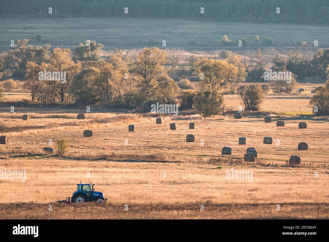 Tractor collecting straw bales sun bulgaria farming agriculture minimal ...
