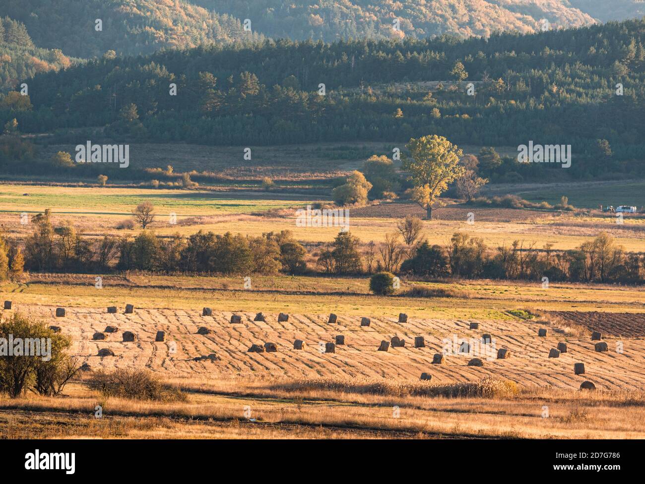 Massive hay field dry with a clear cut path mountain backdrop warm ...
