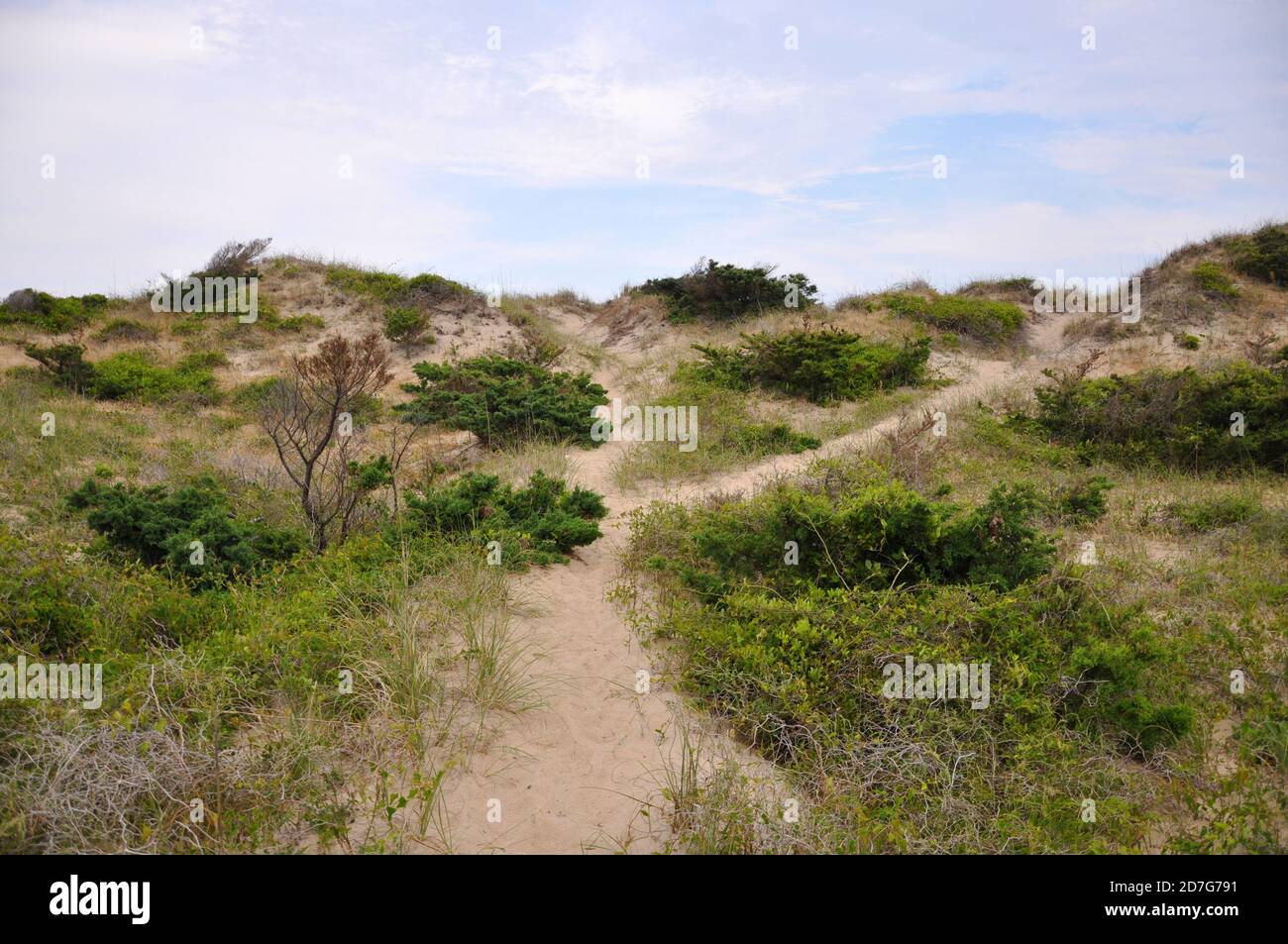 Cape Hatteras National Seashore sunset, on Hatteras Island, North ...