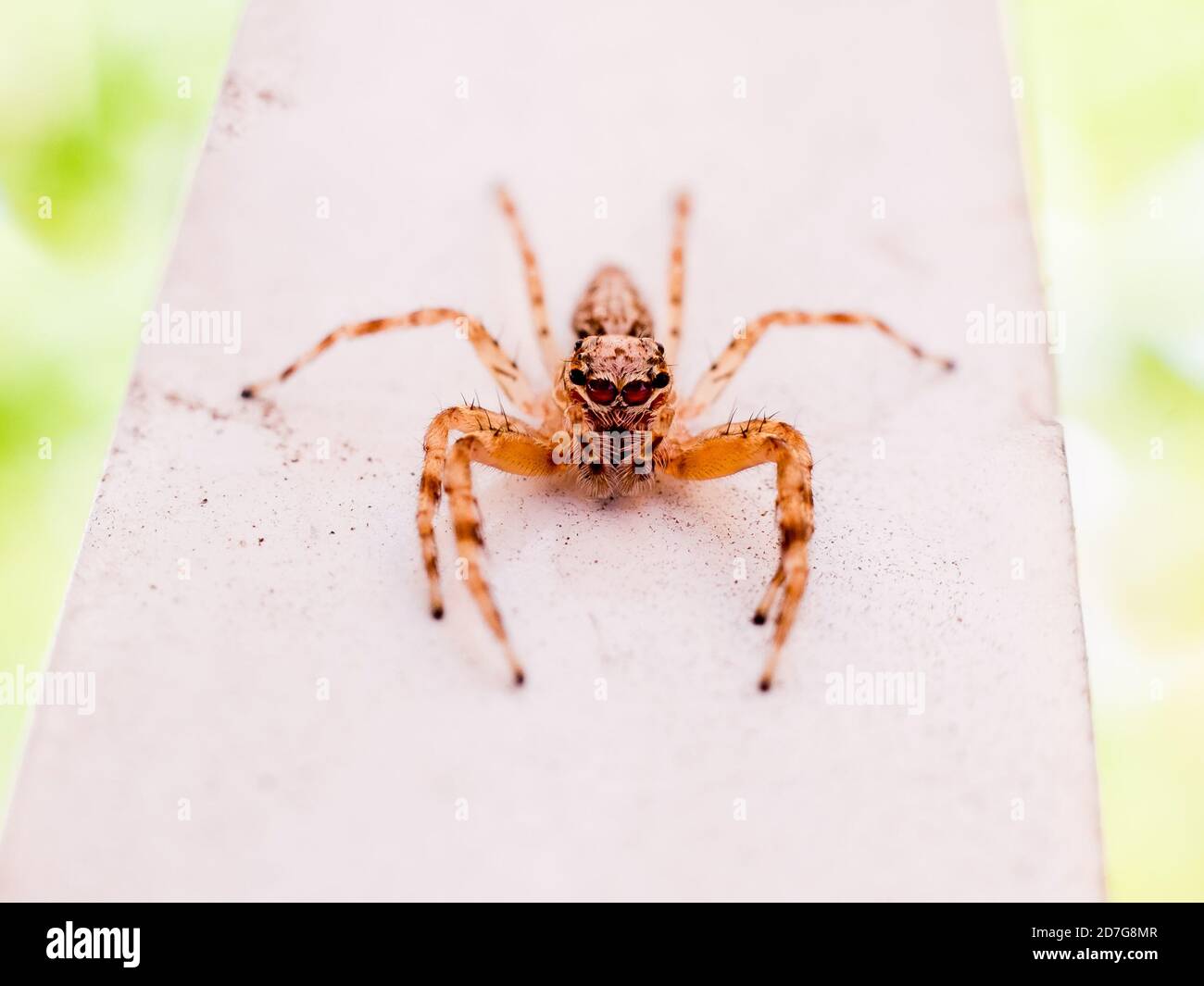 Stair rail hi-res stock photography and images - Alamy