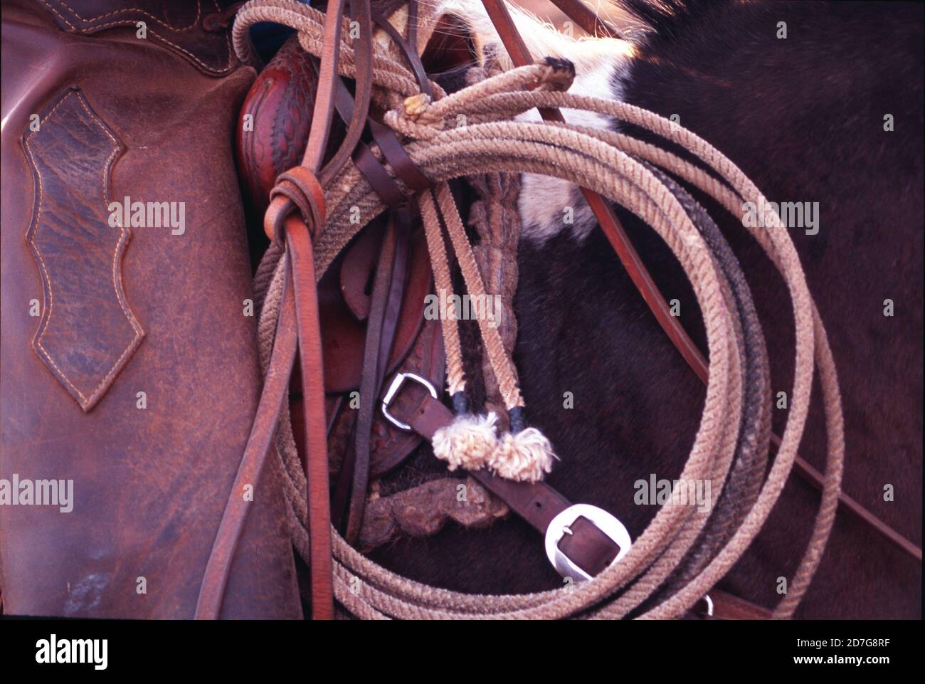 saddle on horse with rope Stock Photo - Alamy