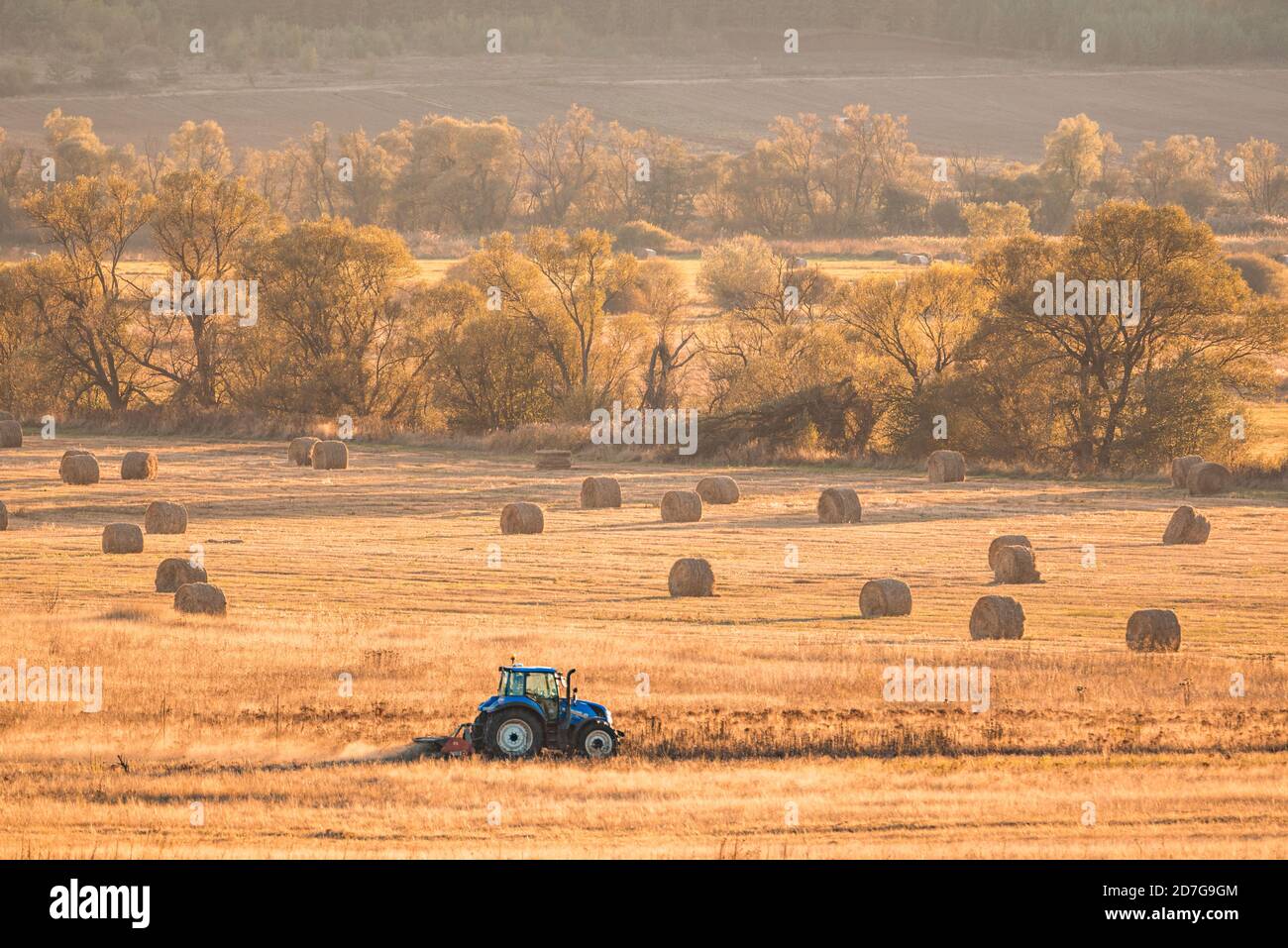 Tractor collecting straw bales sun bulgaria farming agriculture minimal ...
