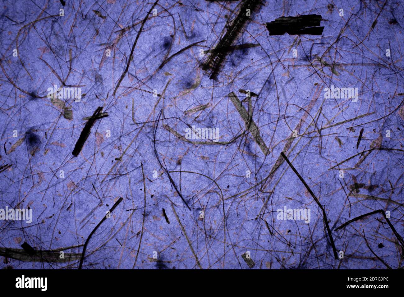 Microscopic textures hi-res stock photography and images - Alamy