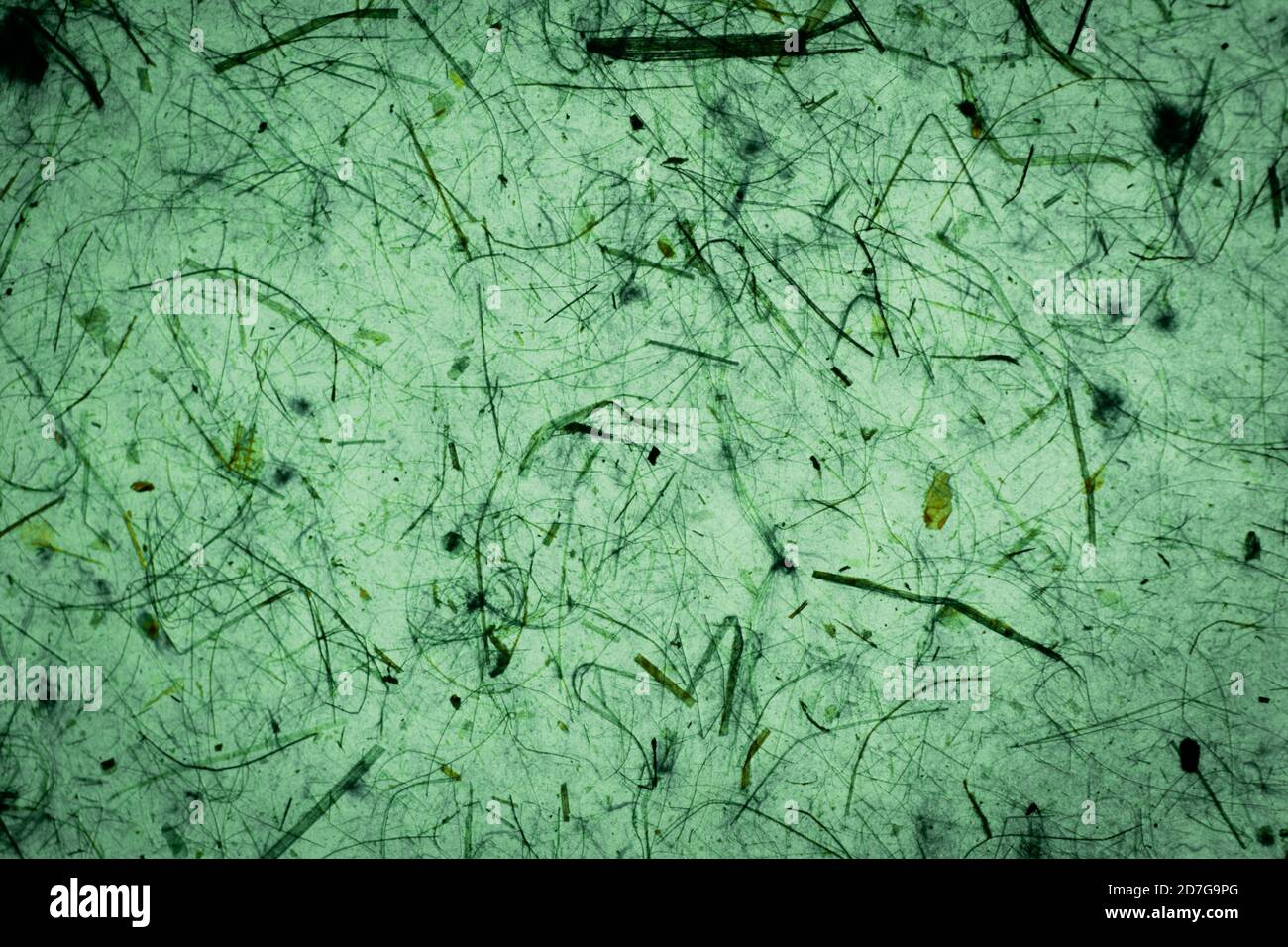 Microscopic textures hi-res stock photography and images - Alamy