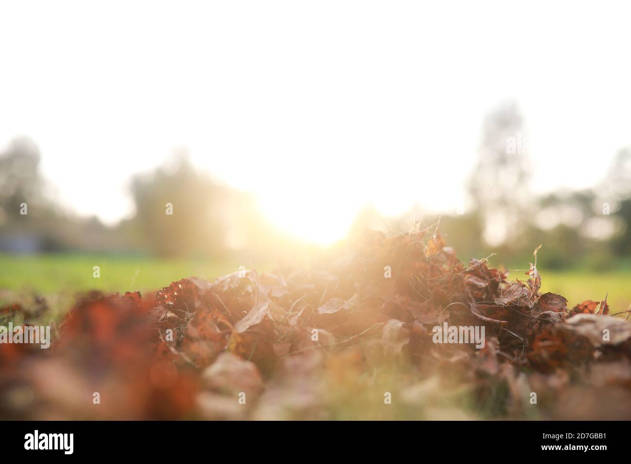 End of summer warm season in the park Stock Photo - Alamy