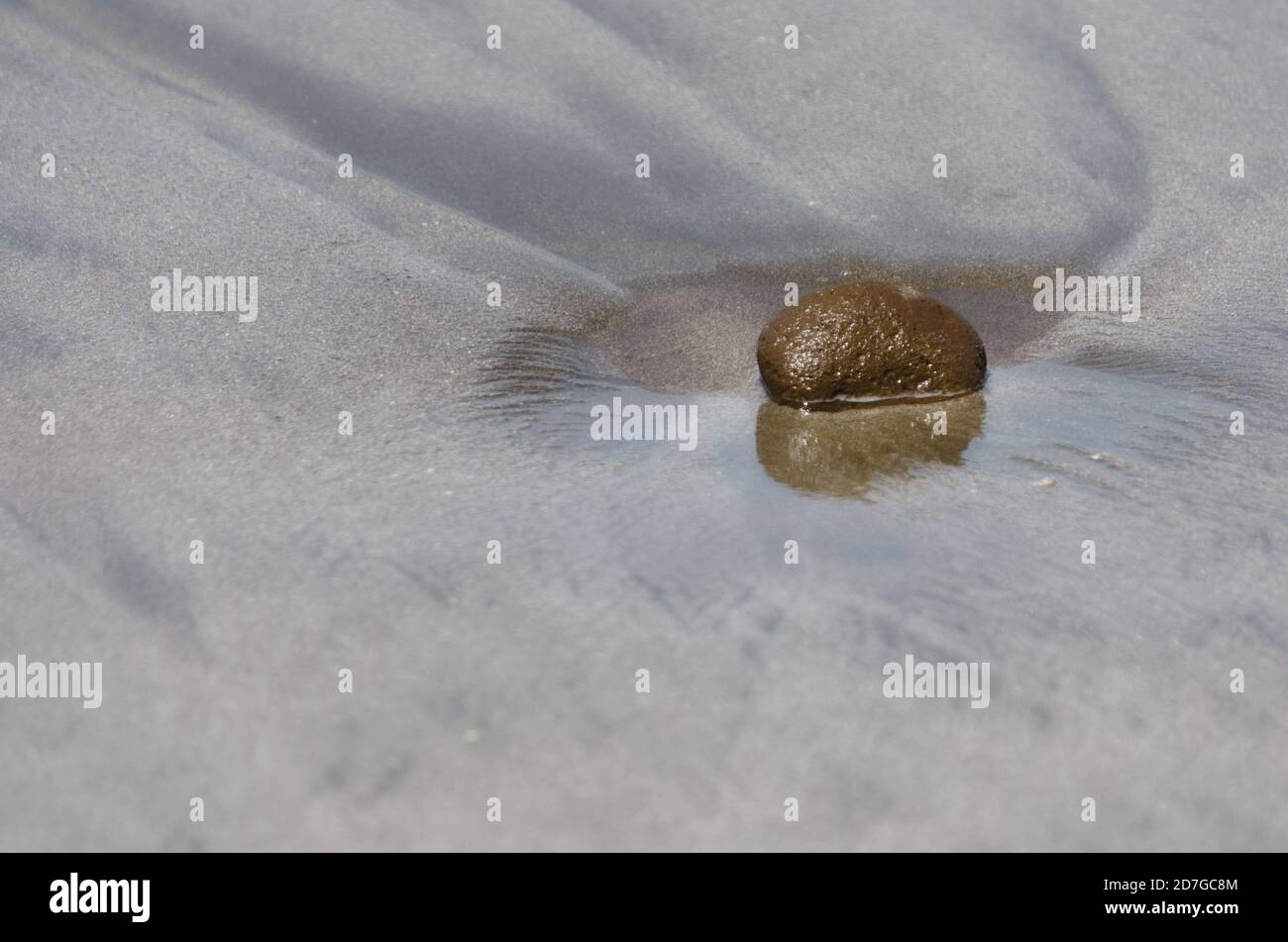 Fine stone detail hi-res stock photography and images - Alamy