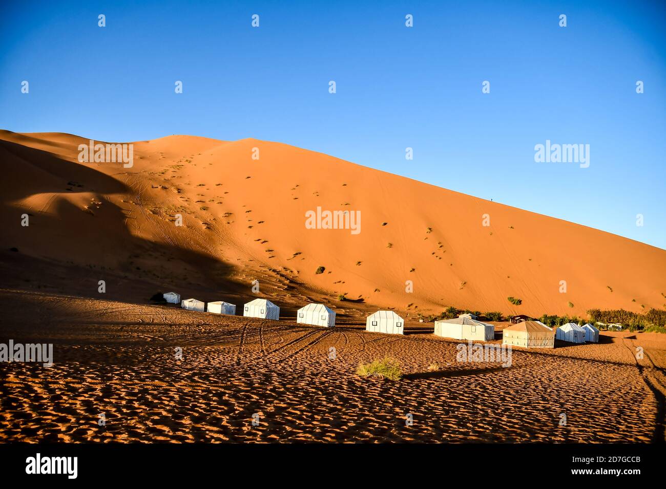 View of the sahara desert in morocco north africa Stock Photo - Alamy
