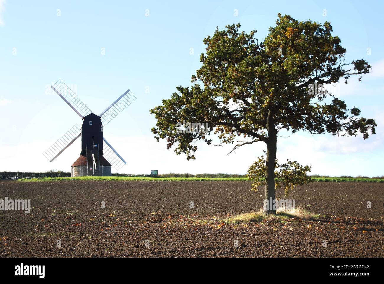Stevington, UK. 22nd Oct, 2020. The historic windmill stands in open ...