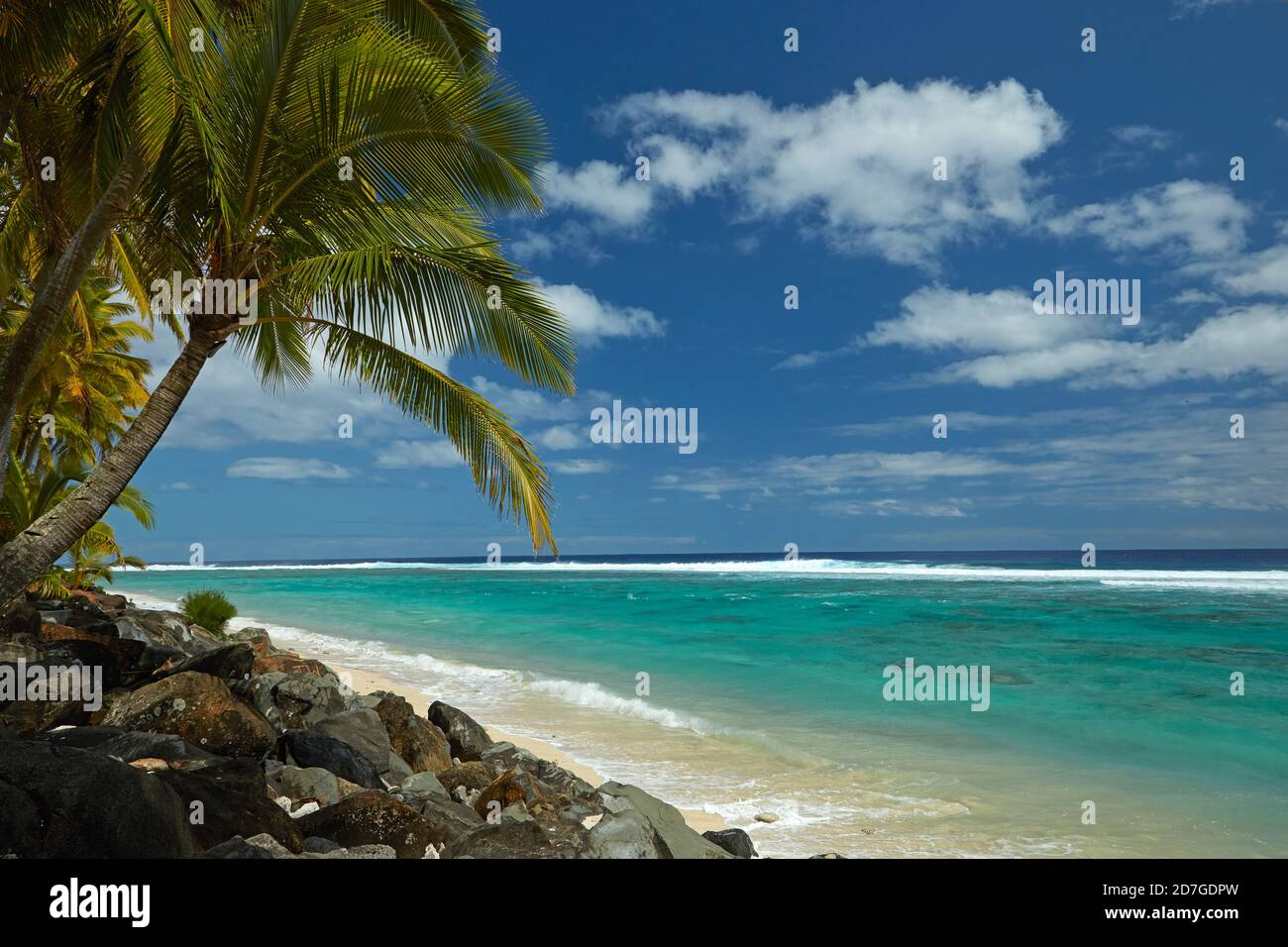 Palms and beach at Edgewater Resort, Rarotonga, Cook Islands, South ...