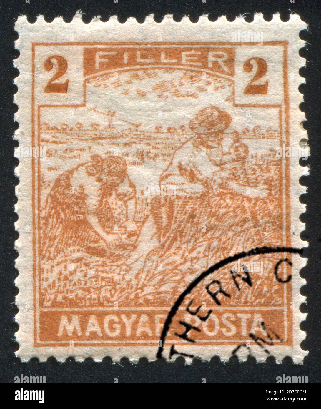 HUNGARY - CIRCA 1916: stamp printed by Hungary, shows Harvesting Wheat ...