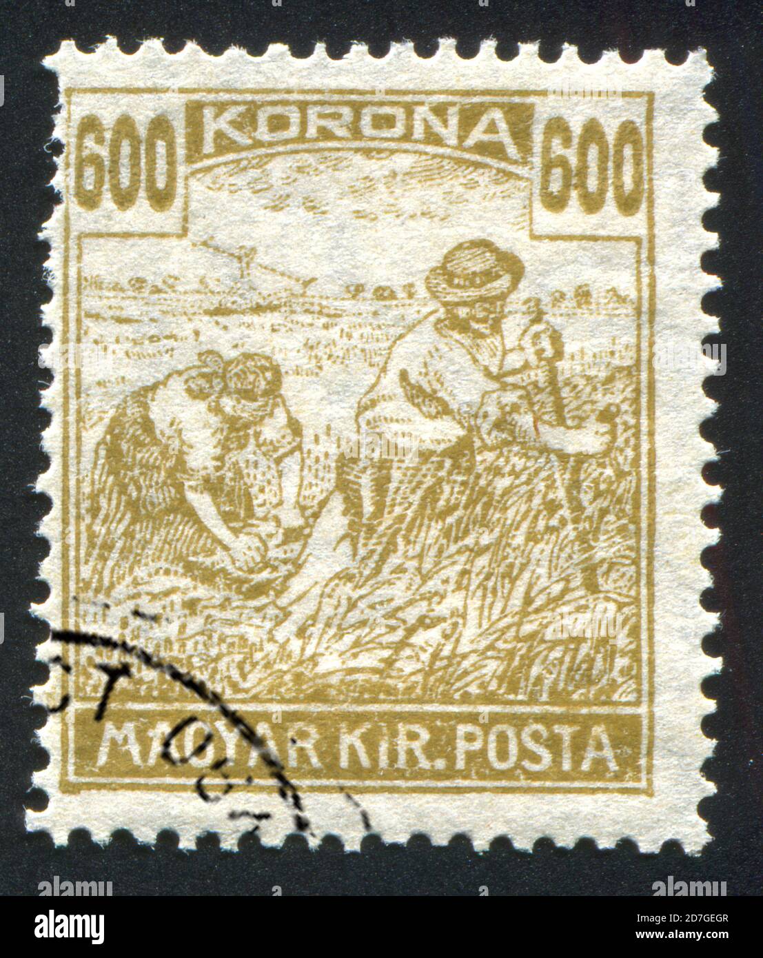 HUNGARY - CIRCA 1916: stamp printed by Hungary, shows Harvesting Wheat ...