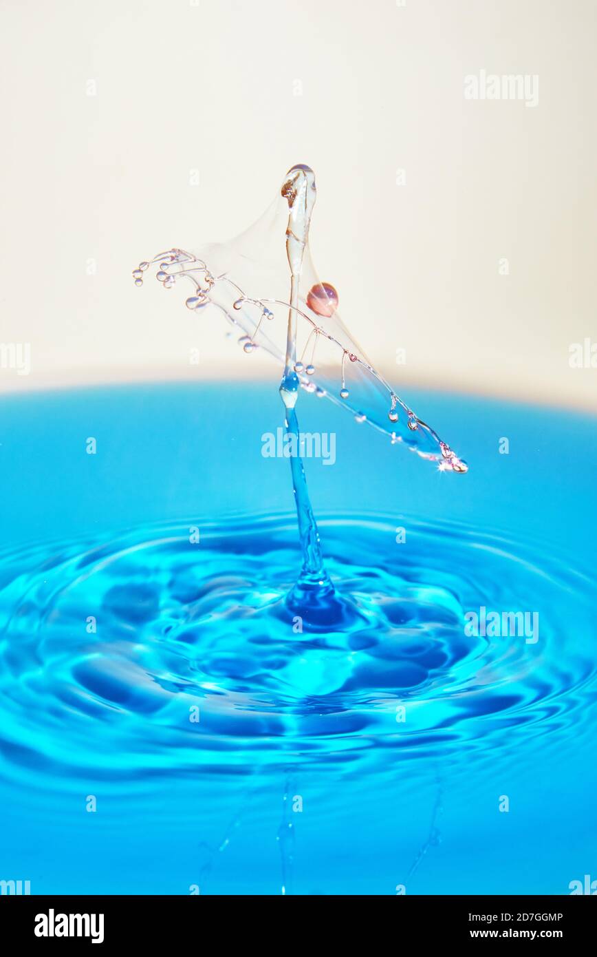 Abstract background of splash of color water, collision of colored ...
