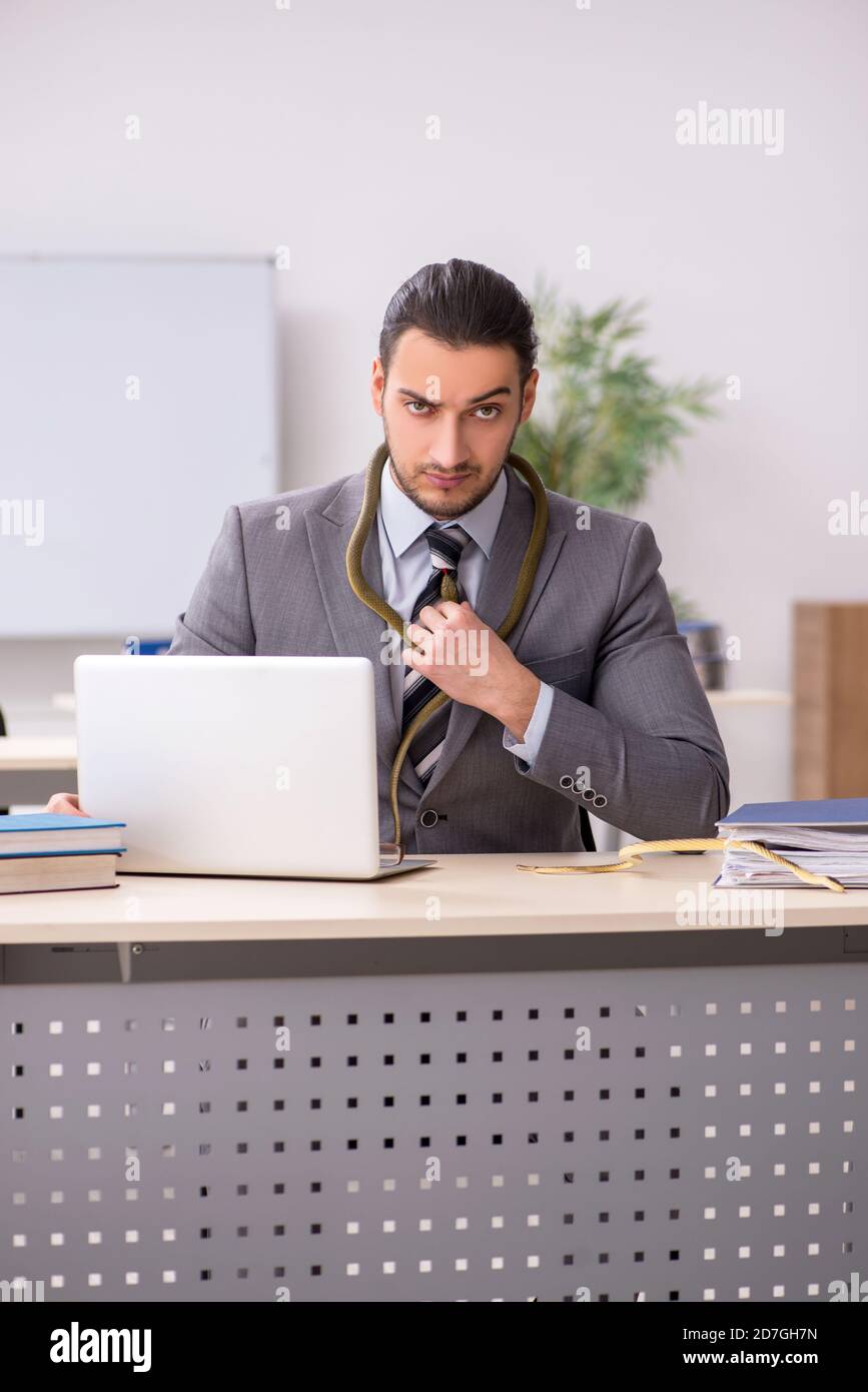 Male employee with snake in the office Stock Photo - Alamy