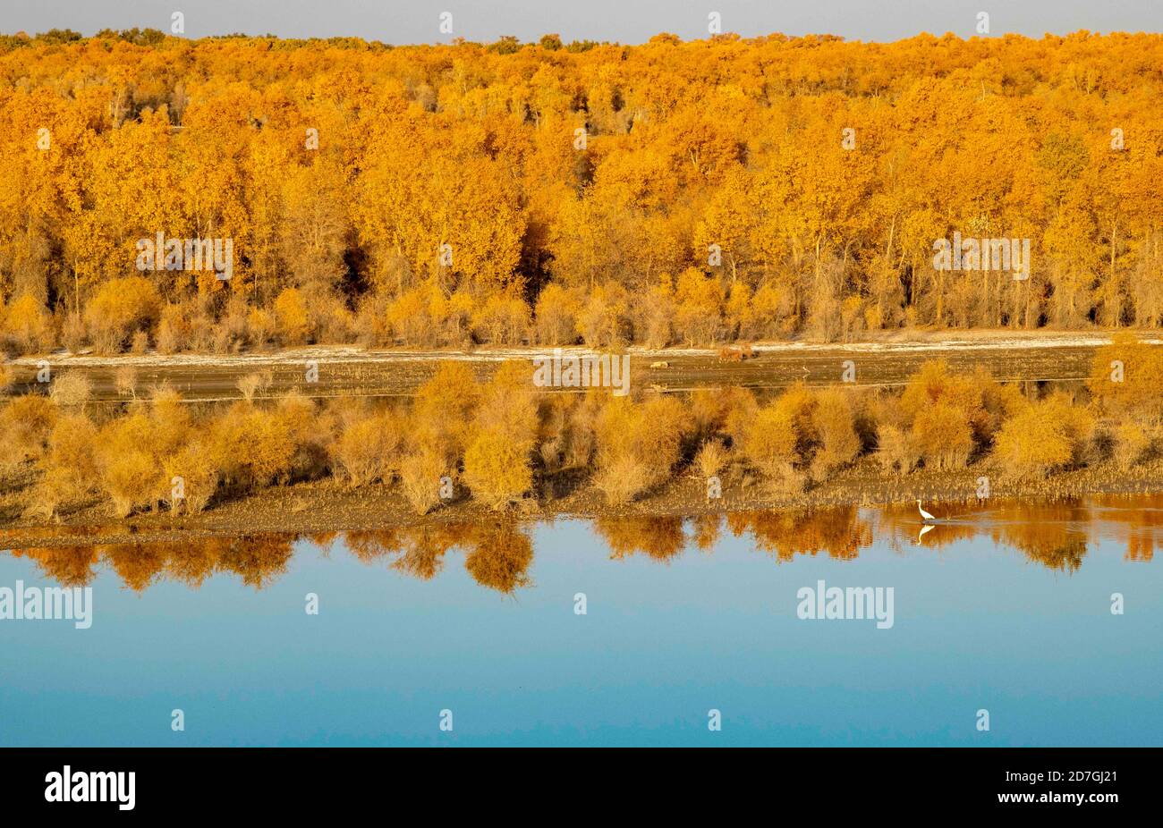 Xayar. 22nd Oct, 2020. Aerial photo taken on Oct. 22, 2020 shows the ...