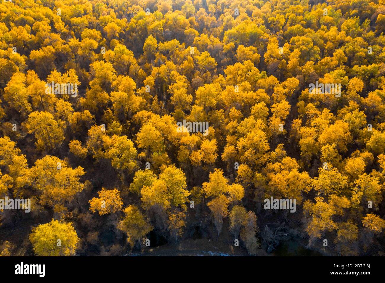 Xayar county hi-res stock photography and images - Alamy