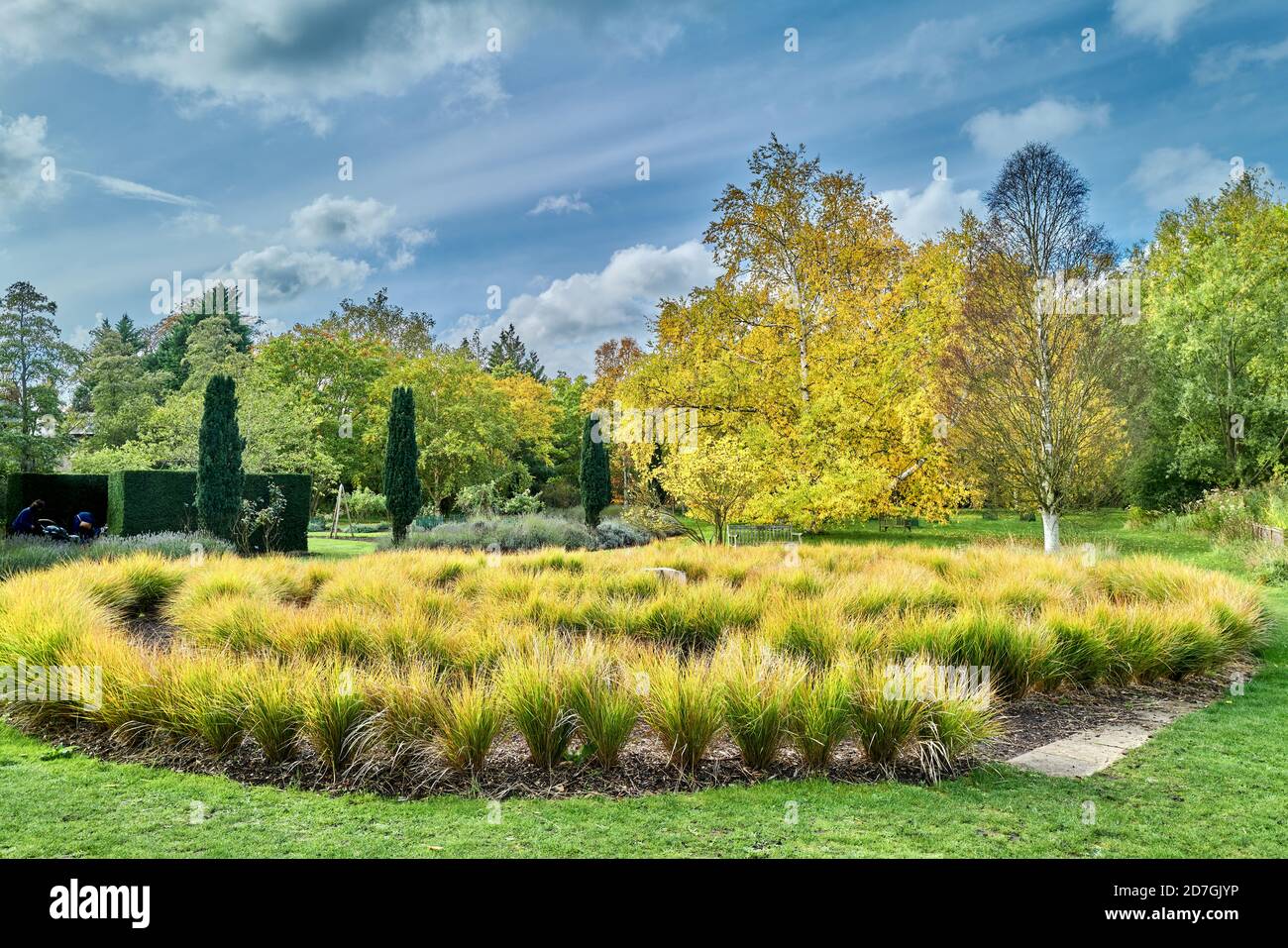 The low maze during autumn at the botanic garden, university of ...
