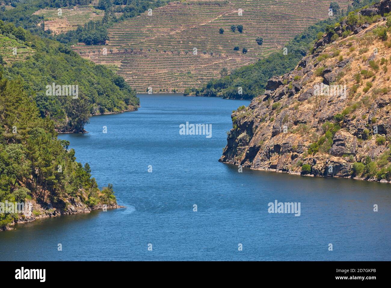 Sil river canyon in Ribeira Sacra. Terrace viticulture vineyards ...