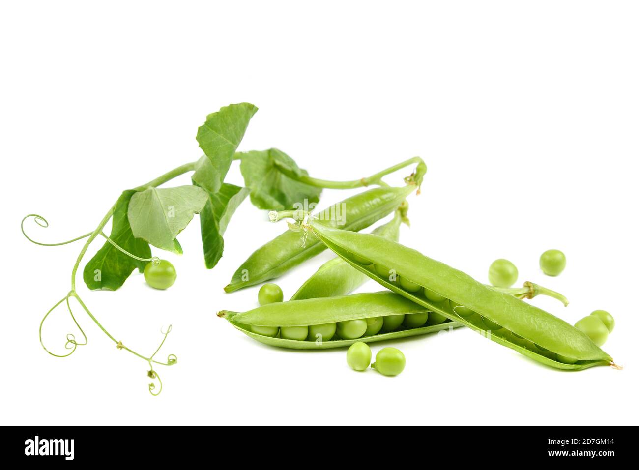 Fruits of green peas isolated on white background Stock Photo - Alamy