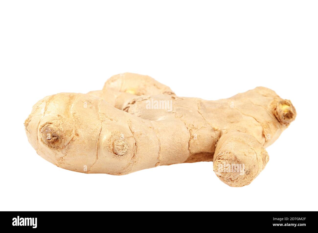 Fresh ginger root fruits isolated on white background Stock Photo - Alamy