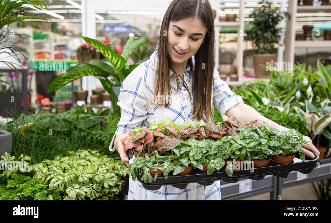 Beautiful young woman in a flower shop and choosing flowers. The ...